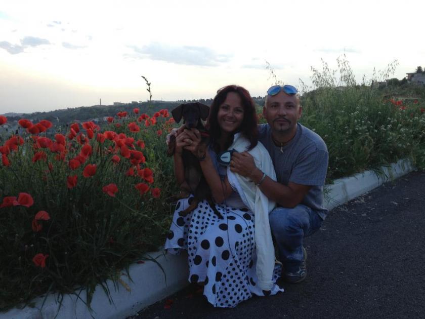 Merlino con i papaveri. - RENZO - Opera Celeste Network