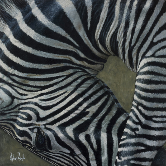 THE ZEBRA BOWS - wildlife artist - Artwork Celeste Network