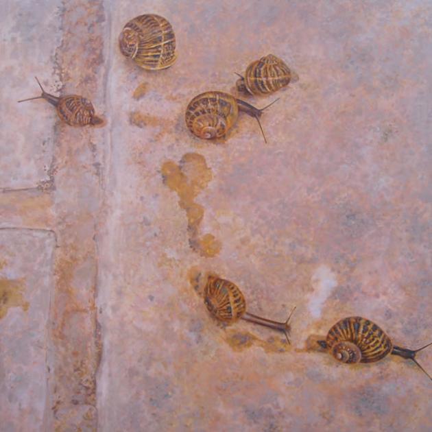 Snails - Deborah Ann Graham - Celeste Art Prize 2007 - Opera Celeste ...